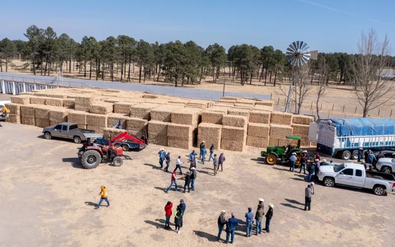 Entregan 150 mil pacas de rastrojo a productores por sequía. | La Voz ...